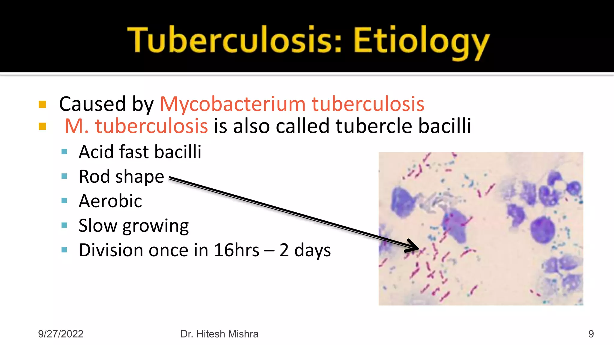 Chemotherapy of Tuberculosis.pptx