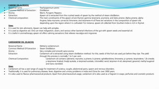 CHEM INVESTIGATORY PROJECT XII 2024-25 .pptx