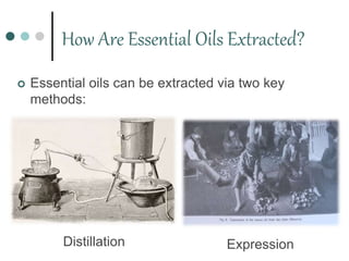 Essential oils chemistry | PPTX