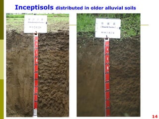 Soil Information System of Taiwan Soils and Its Applications by Horng ...