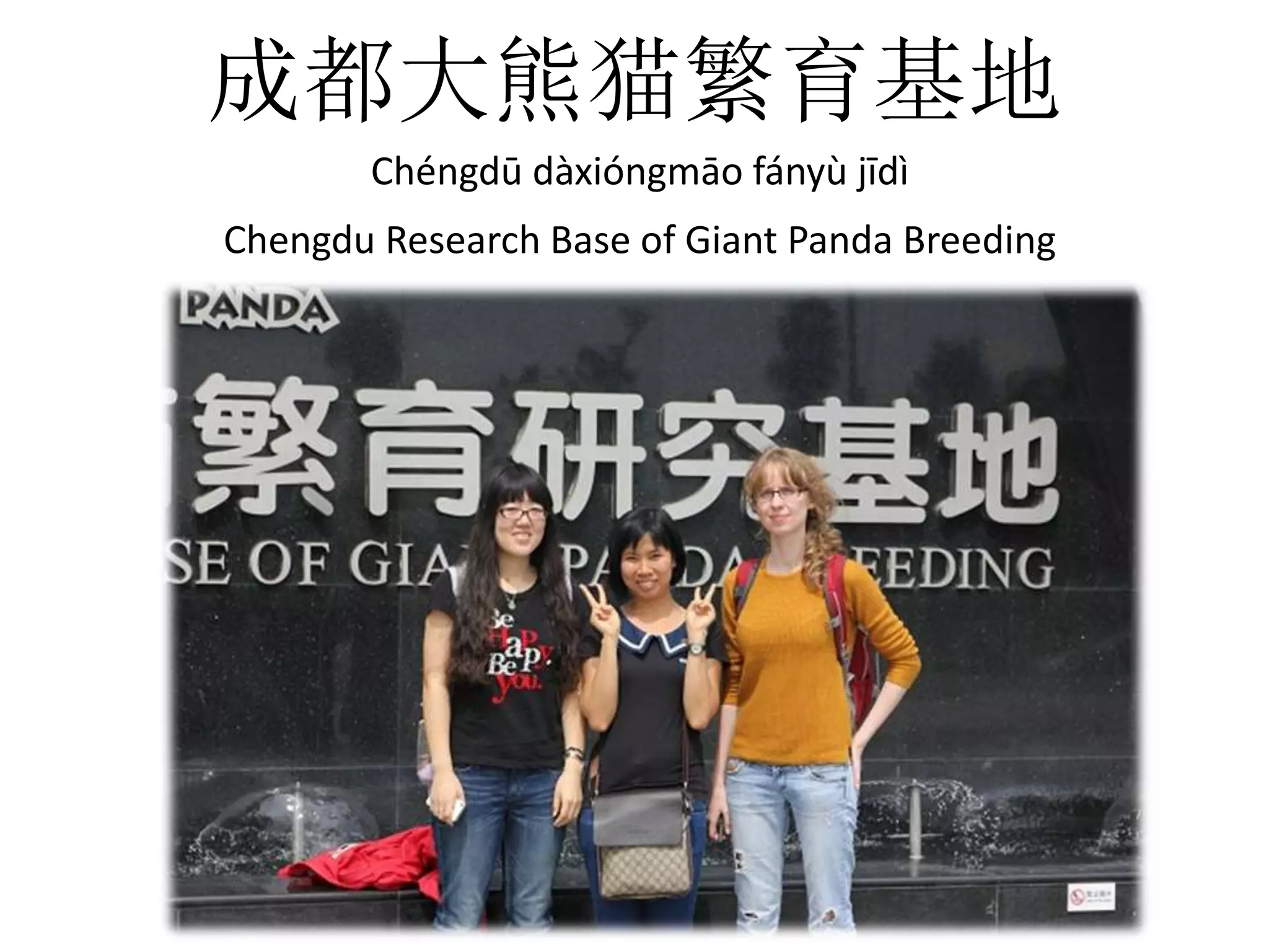 Learning Chinese words through Chengdu panda base | PPTX