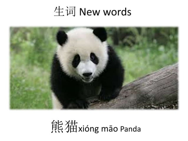 Learning Chinese words through Chengdu panda base | PPTX