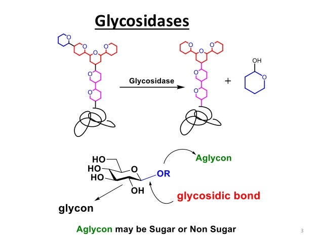Sulfonium-Ion Glycosidase Inhibitors and Their Derivatives