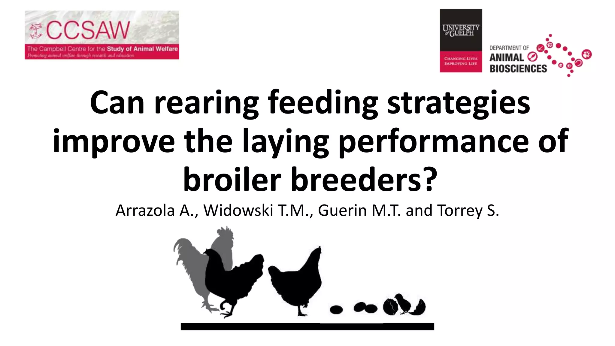 Can rearing feeding strategies improve the laying performance of ...