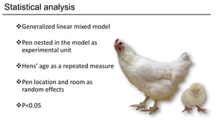 Can rearing feeding strategies improve the laying performance of ...
