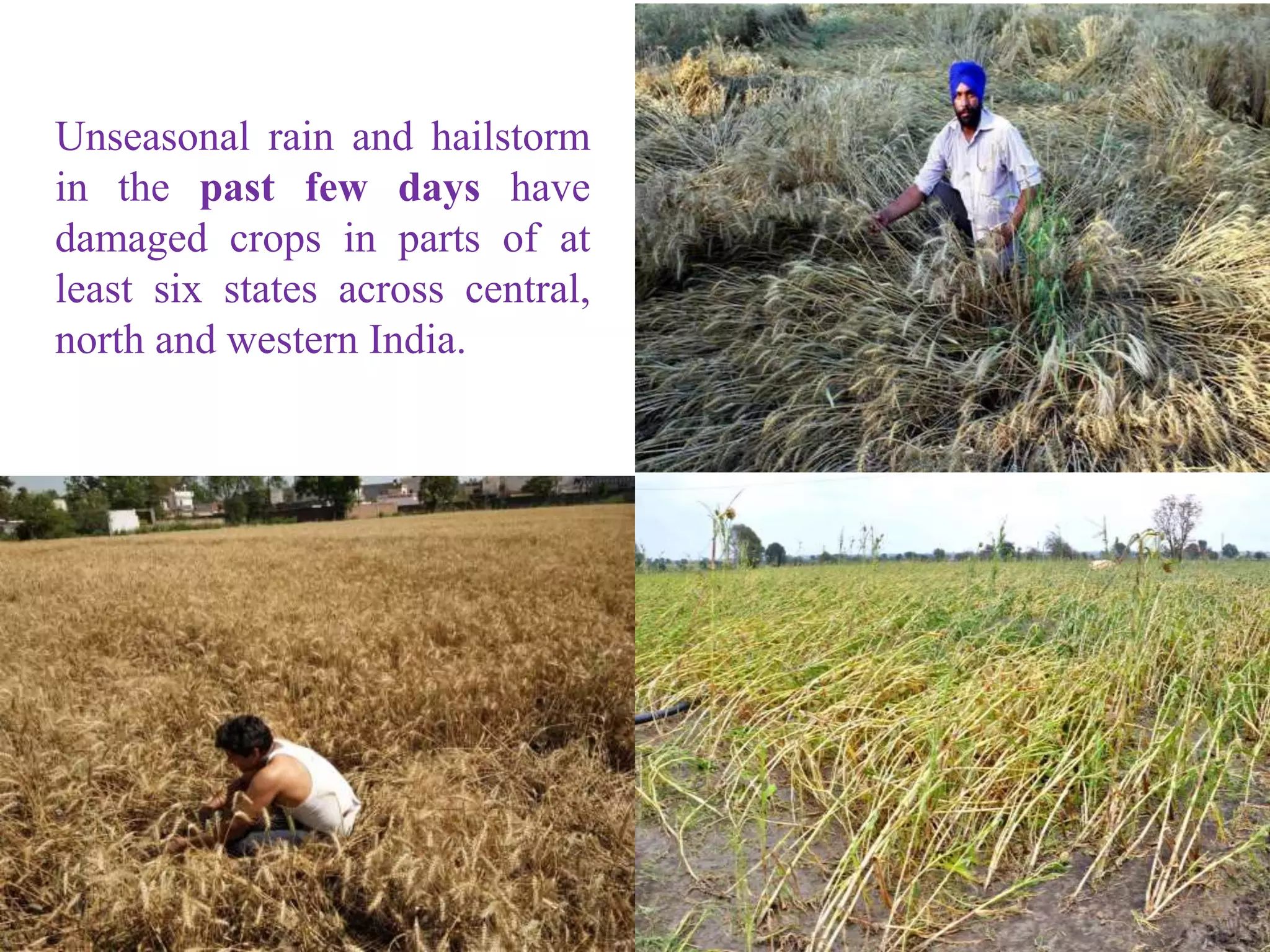 CHALLENGES FACED BY FARMERS DUE TO ENVIRONMENTAL CHANGES | PPTX