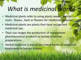 medicnal plants lpu | PPTX