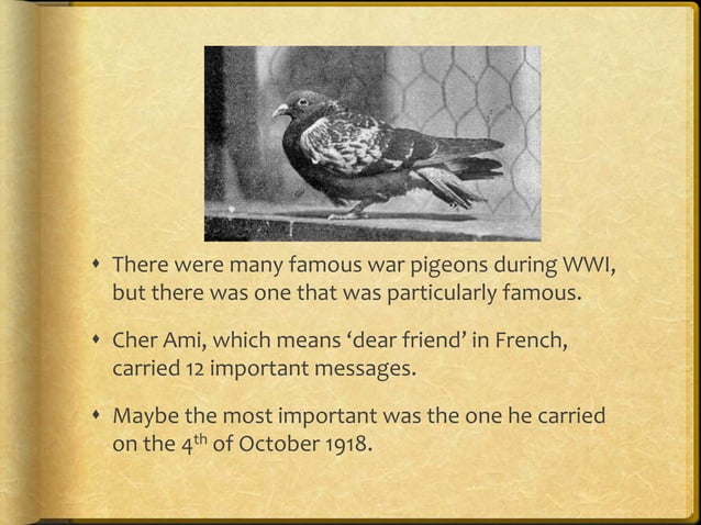 Cher Ami | PPT