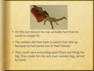 Cher Ami | PPTX | Death, Injury, or Military Conflict | Sensitive Topics