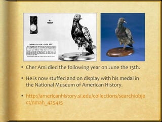 Cher Ami | PPTX | Death, Injury, or Military Conflict | Sensitive Topics