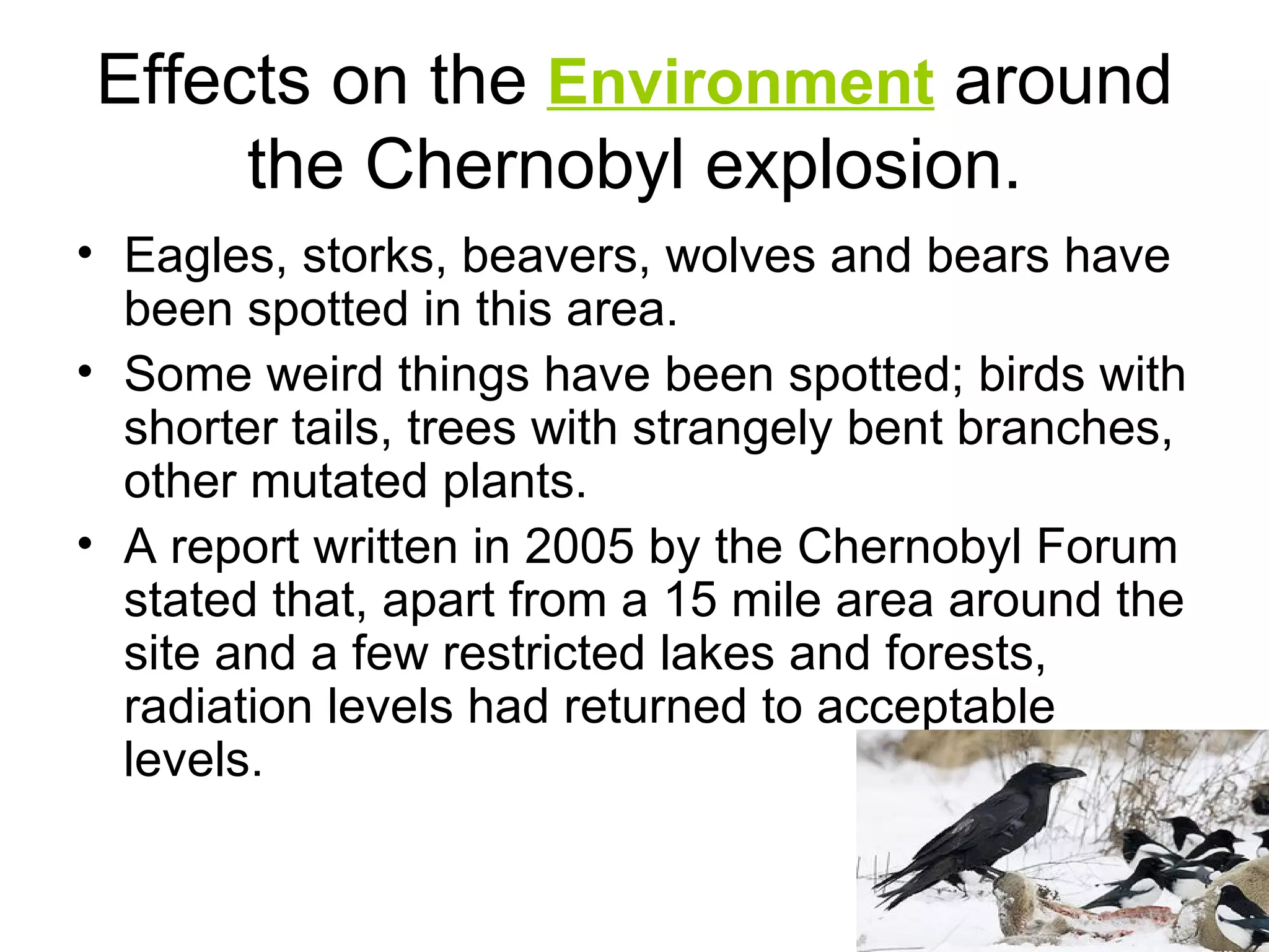 Chernobyl | PPT