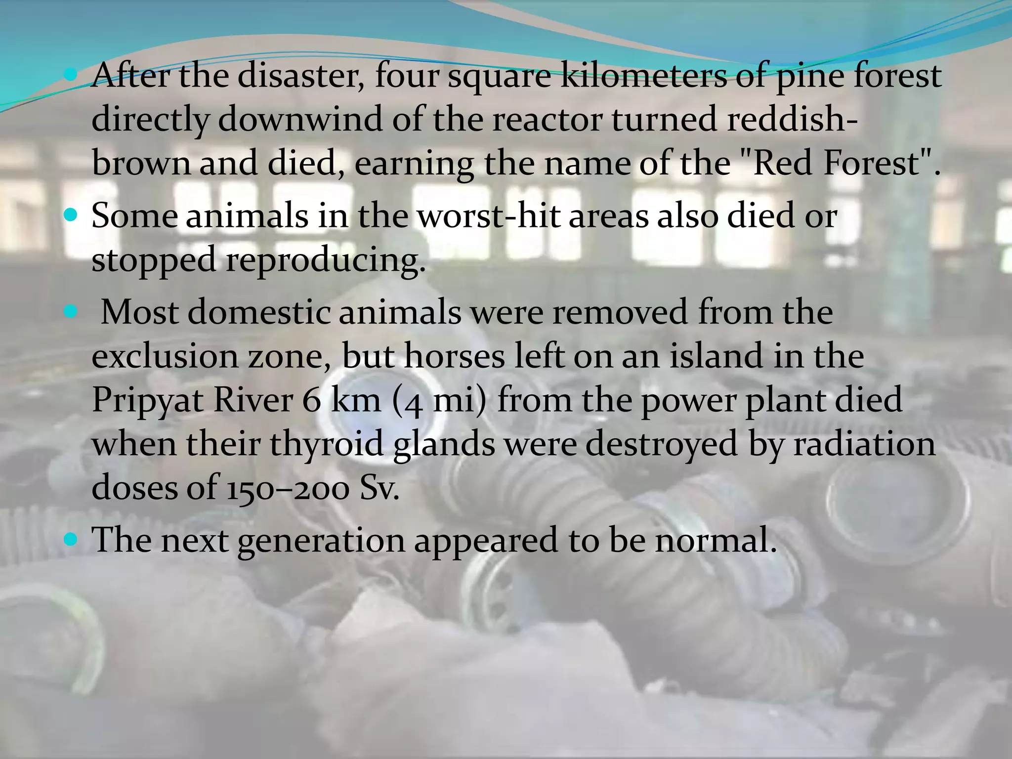 Chernobyl-nuclear disaster(Man made disasters) | PPTX