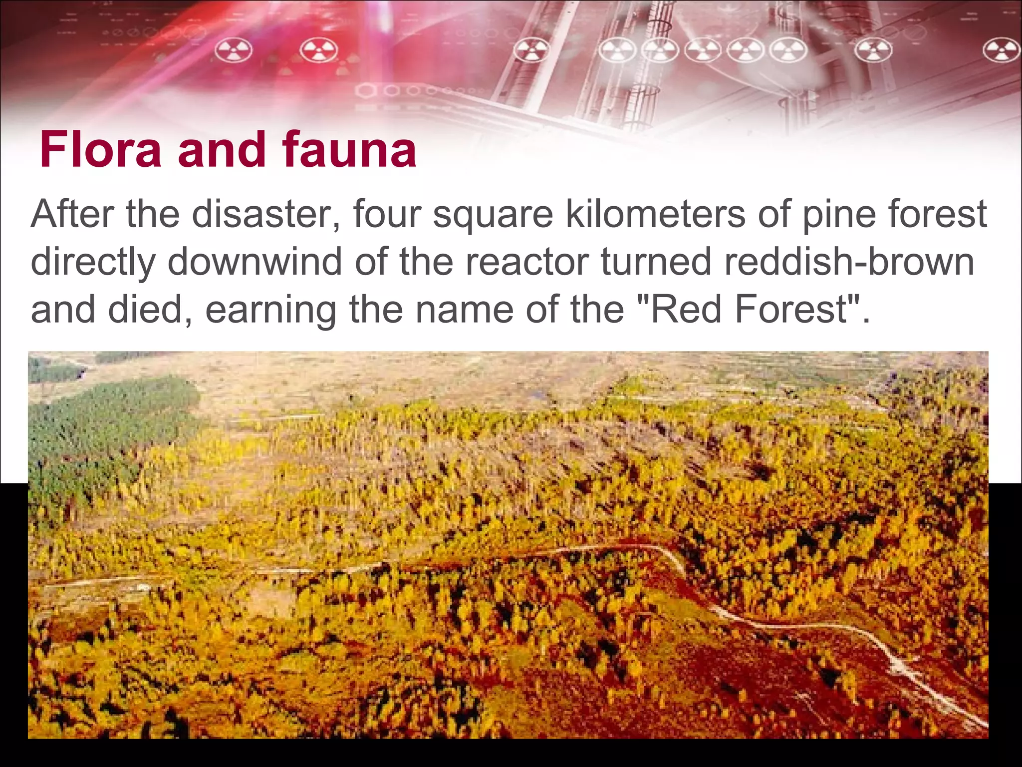 Chernobyl disaster! | PPT