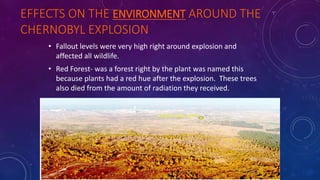 Chernobyl Disaster Effects On Environment