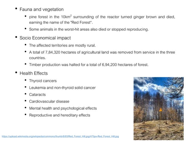 Chernobyl Nuclear Disaster - 1986 | PPTX | Chemistry | Science