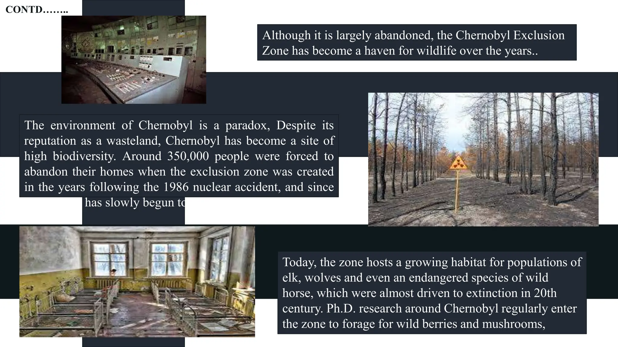chernobyl disaster that created chaos and destroyed so many lives | PPTX