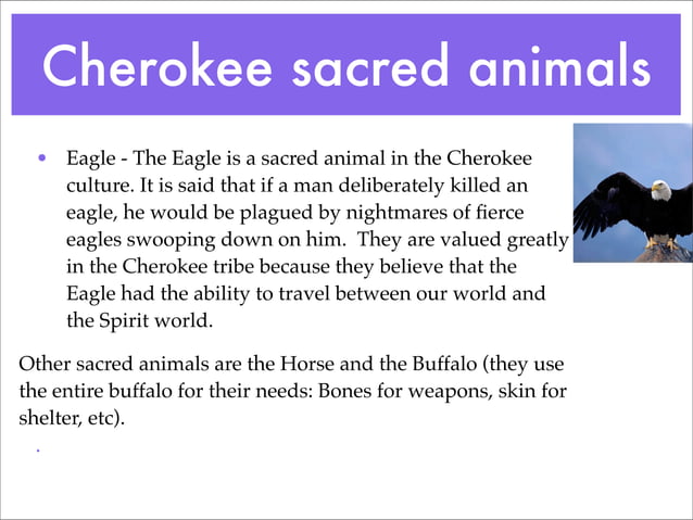 Cherokees | PDF | Religion & Spirituality