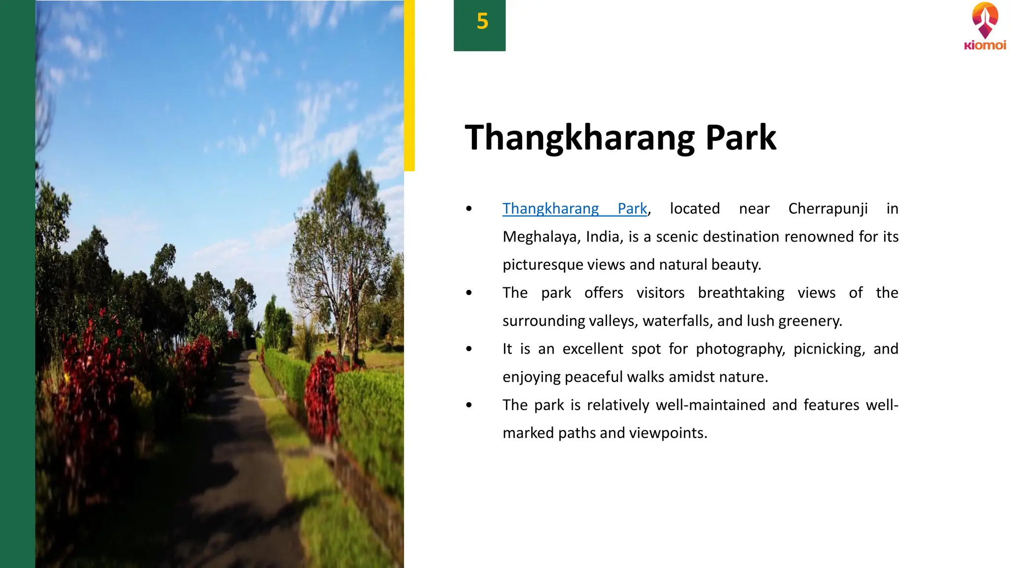 The Lush Greenery of Cherrapunji: A Paradise for Nature Lovers | PPT