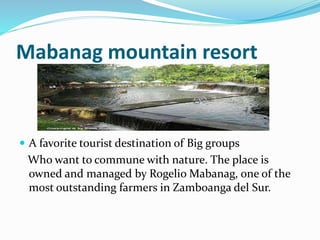 Zamboanga Del Sur Tourist spot | PPT