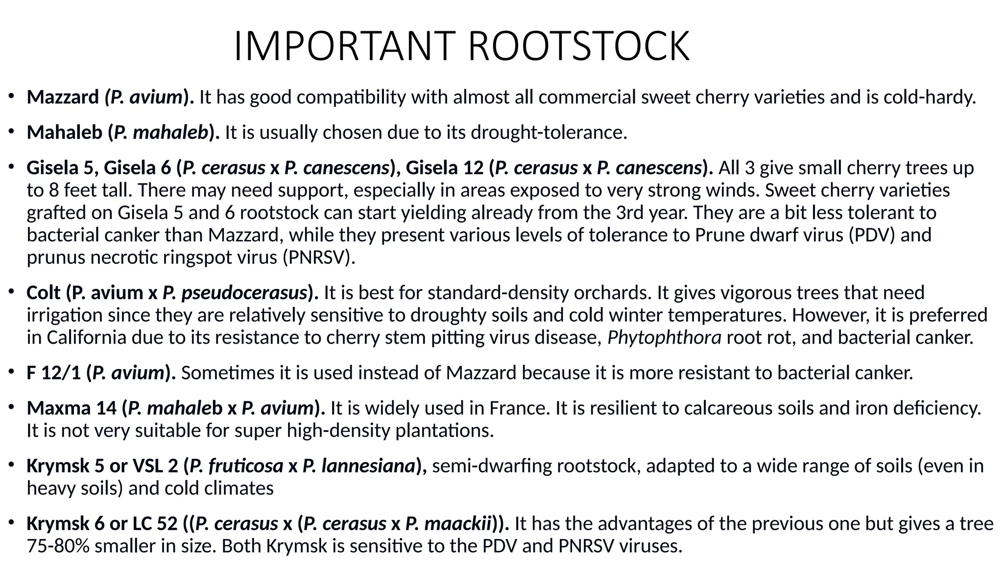 cultivation practices of CHERRY PPT .pptx