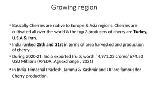 cultivation practices of CHERRY PPT .pptx