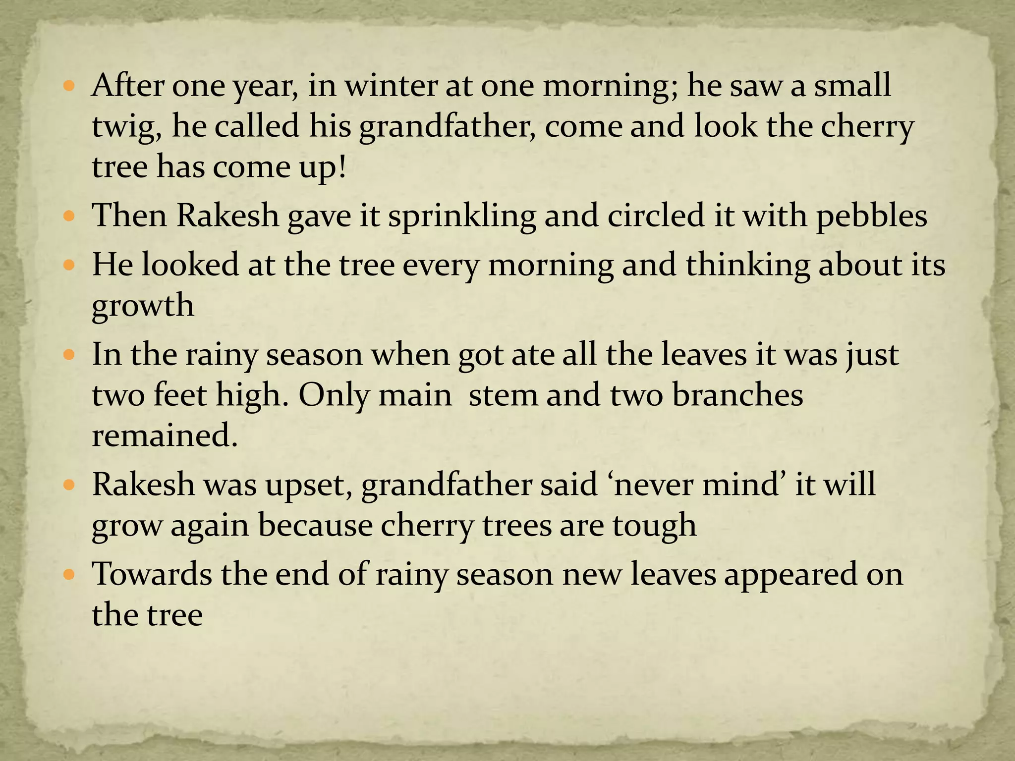 Cherry Tree by Ruskin Bond | PPTX