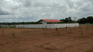 Cherubic-Farms-Live-Imgs.pdf