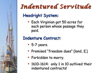 Colonial Headright System