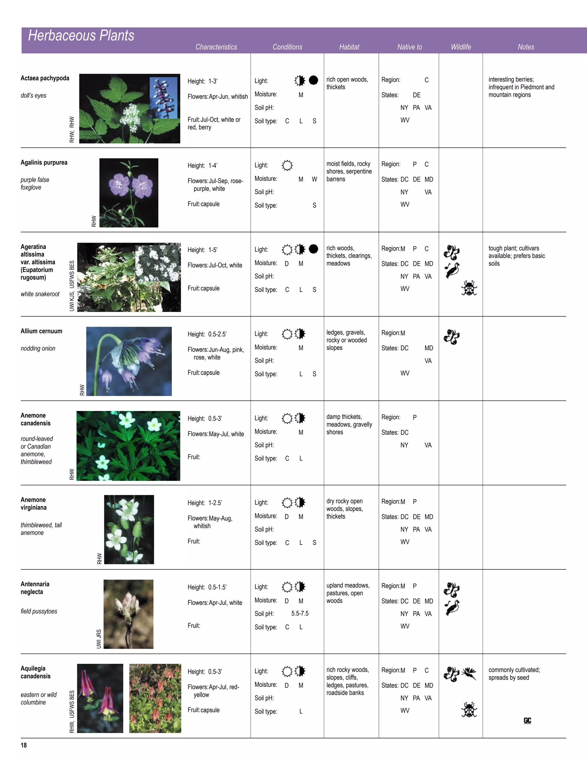 Native Plants for Wildlife Habitat and Conservation Landscaping | PDF