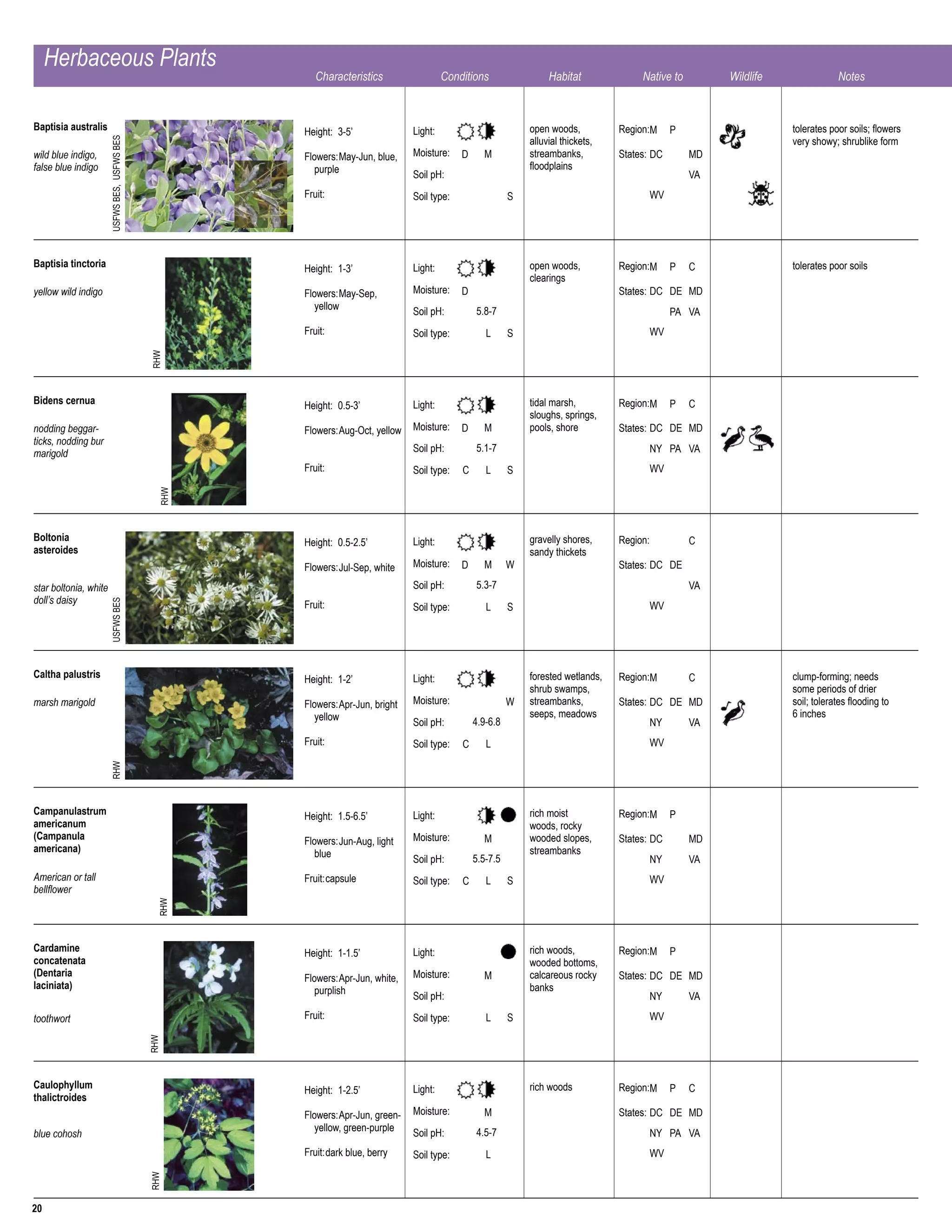 Native Plants for Wildlife Habitat and Conservation Landscaping | PDF