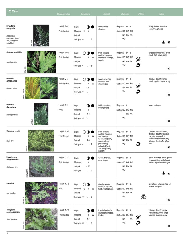 Native Plants for Wildlife Habitat and Conservation Landscaping | PDF
