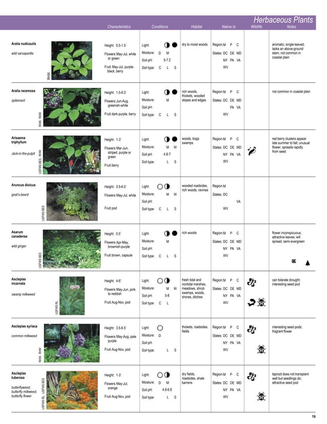 Native Plants for Wildlife Habitat and Conservation Landscaping | PDF