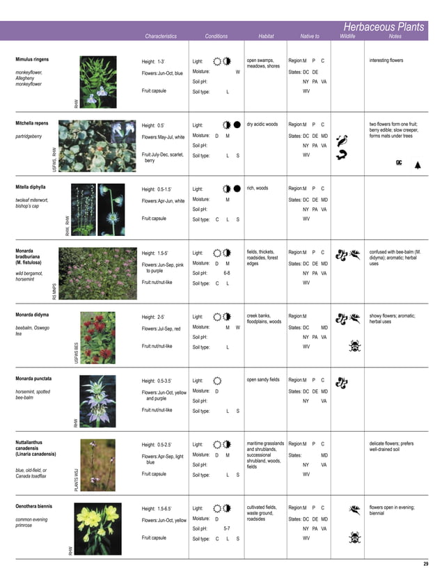 Native Plants for Wildlife Habitat and Conservation Landscaping | PDF