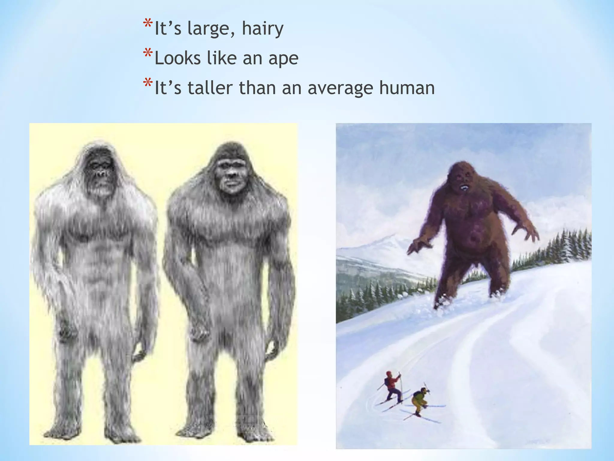 Chesnokova presentation yeti | PPT