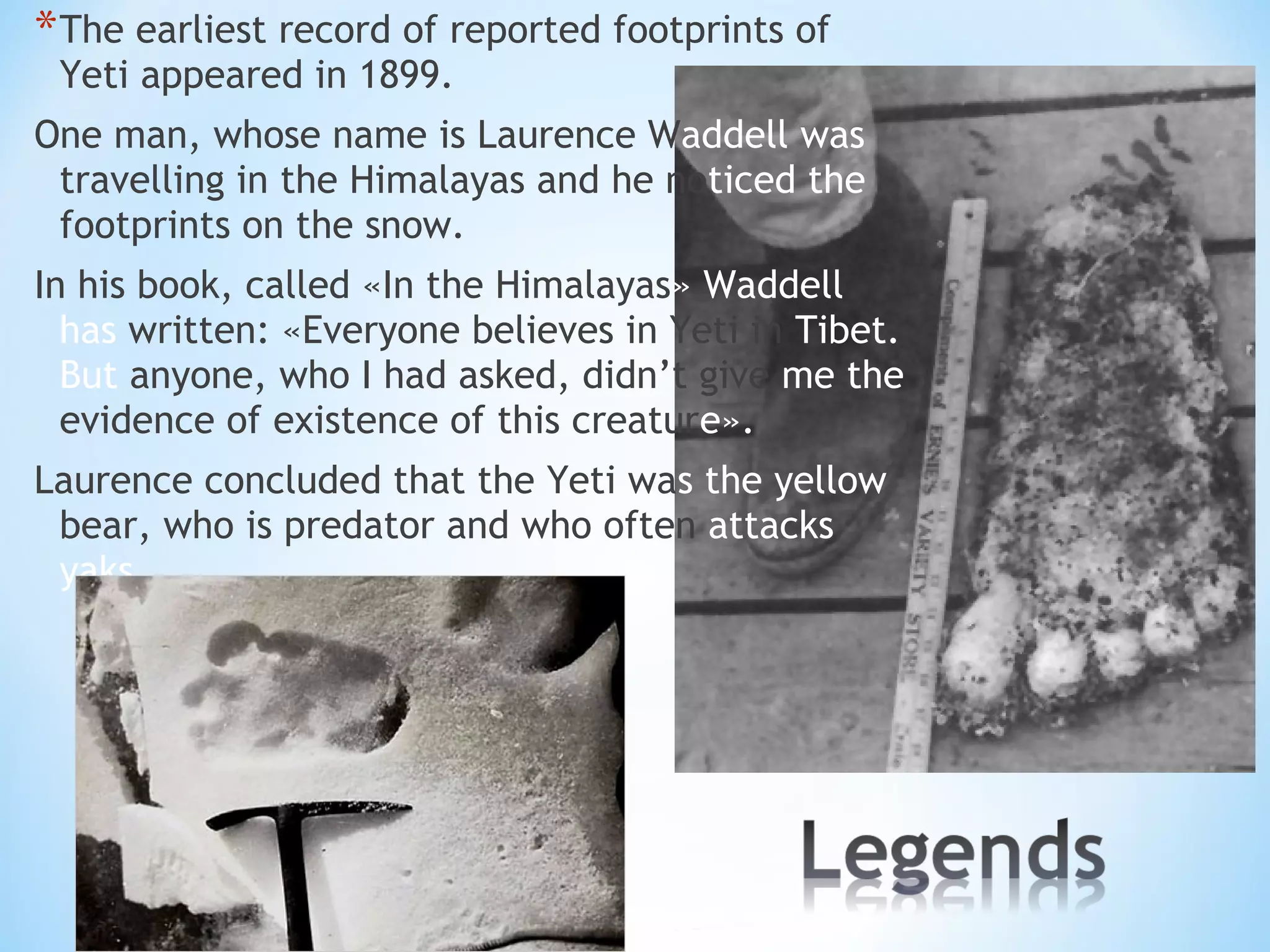 Chesnokova presentation yeti | PPT