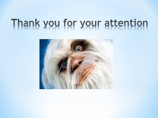 Chesnokova presentation yeti | PPT