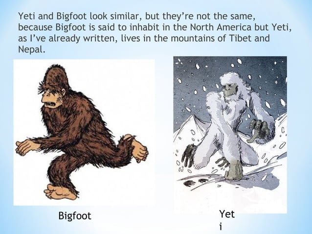 Chesnokova presentation yeti | PPT