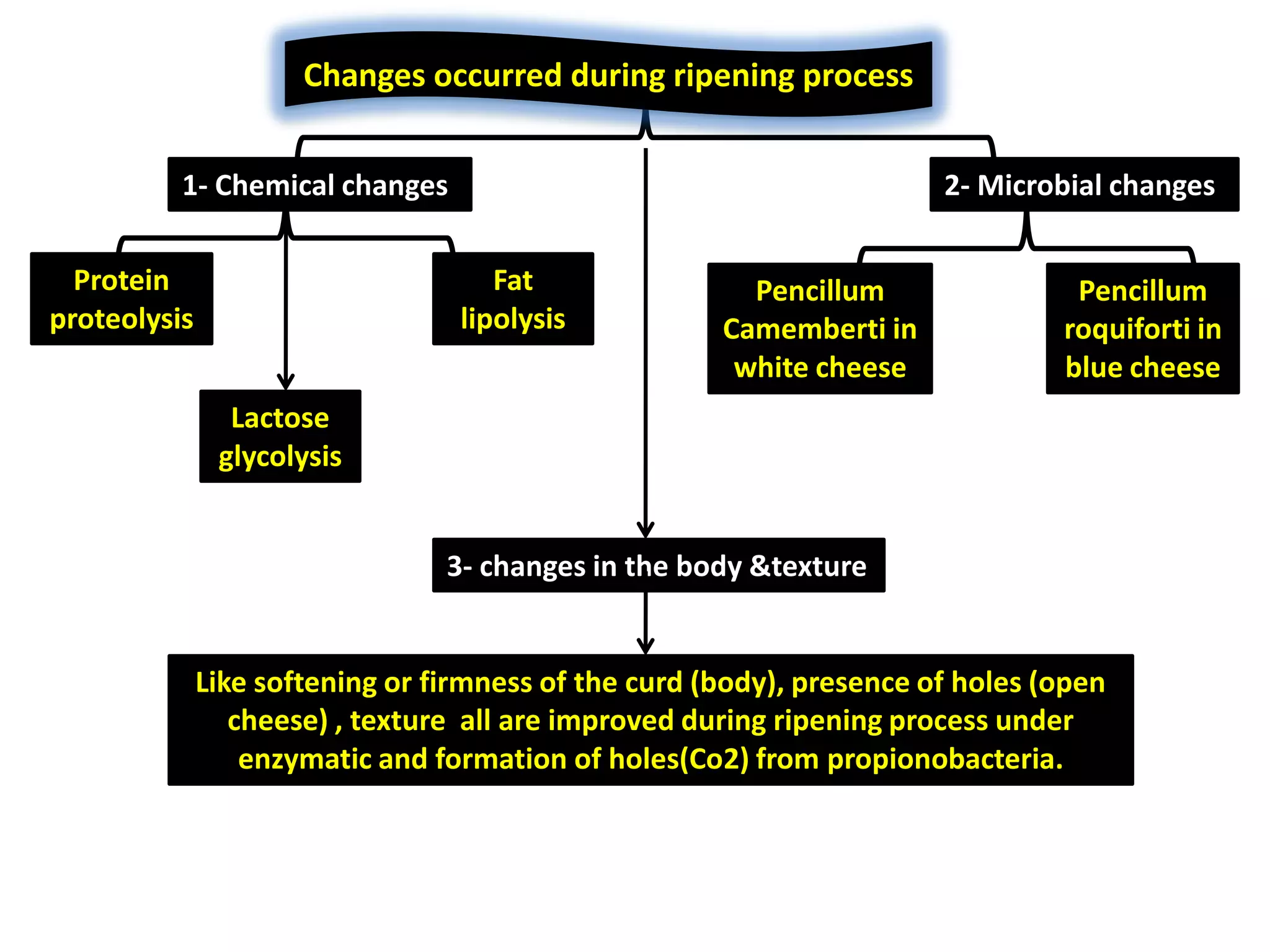 Cheese lecture third year general student 2020 (definition,technology,N ...