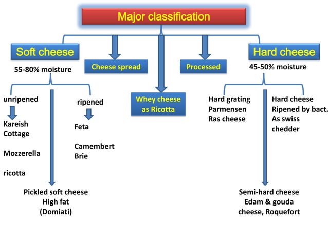 Cheese lecture third year general student 2020 (definition,technology,N ...