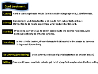 Cheese lecture third year general student 2020 (definition,technology,N ...