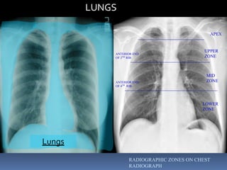 chest examination.pptx.pdf