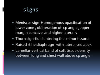 chest examination.pptx.pdf