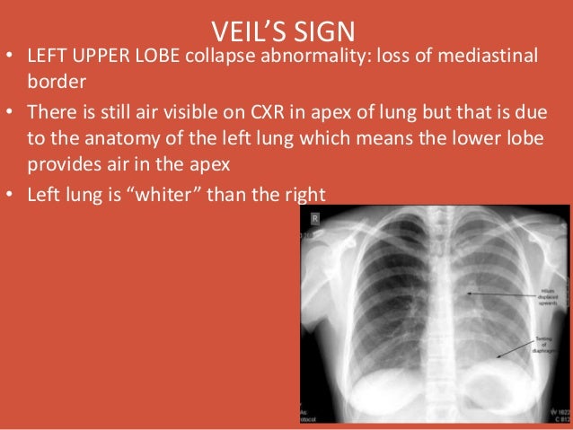 Chest and Abdomen Radiology