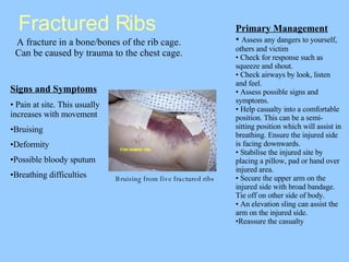 Chest Injuries | PPT