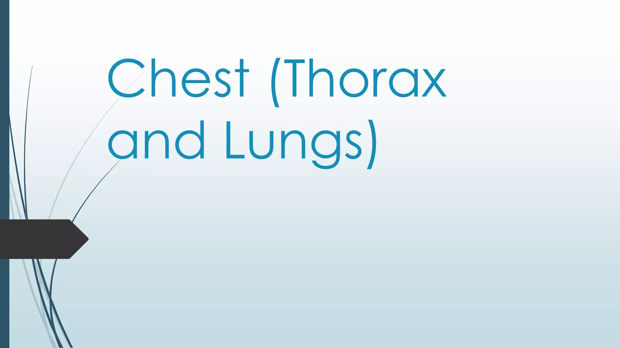 Chest-Thorax Assessment.pptx