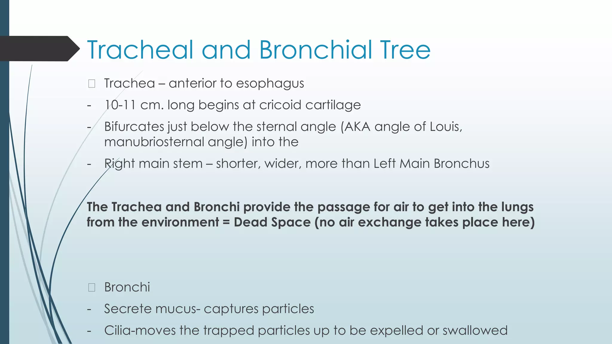 Chest-Thorax Assessment.pptx