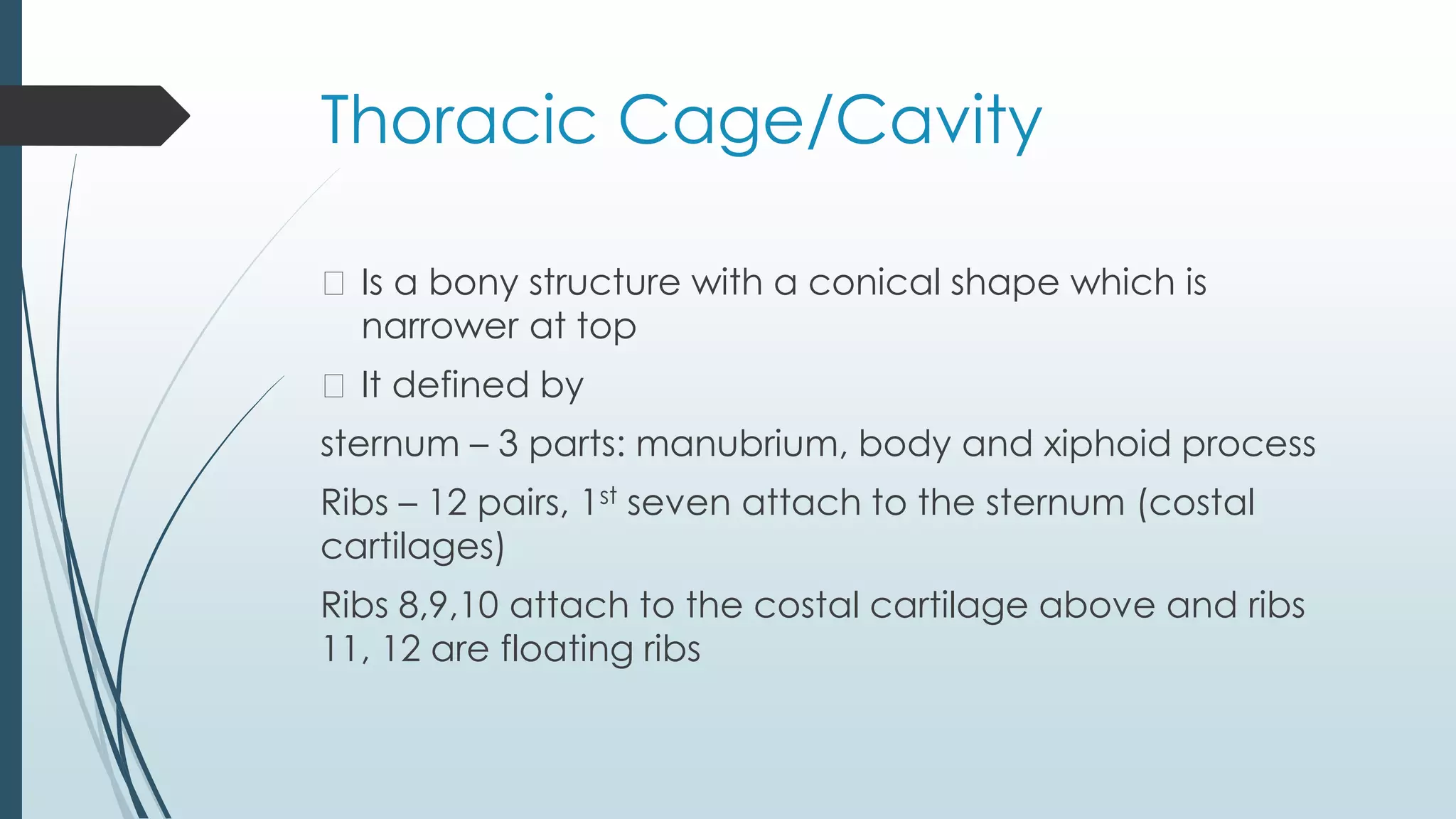 Chest-Thorax Assessment.pptx
