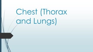 Chest-Thorax Assessment.pptx