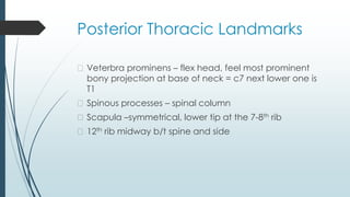 Chest-Thorax Assessment.pptx