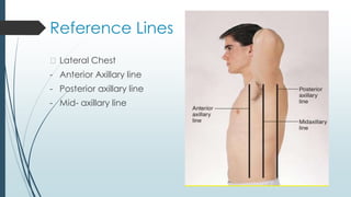 Chest-Thorax Assessment.pptx